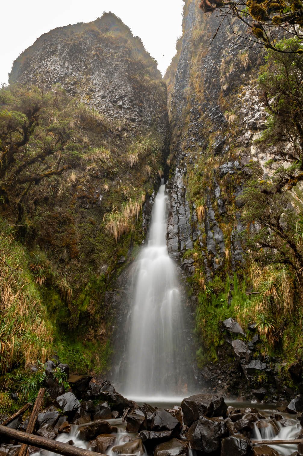 Parque Nacional Cayambe Coca - Napo.Travel